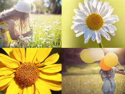 ***SESSION/INITIATION: EMOTIONALE REPROGRAMMIERUNG & VERBINDUNGSSCHNÜRE ...