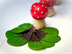 ***COACHING/AUSBILDUNG: ERMÄCHTIGUNG DES GLÜCKES*** - ein Webinar von ...